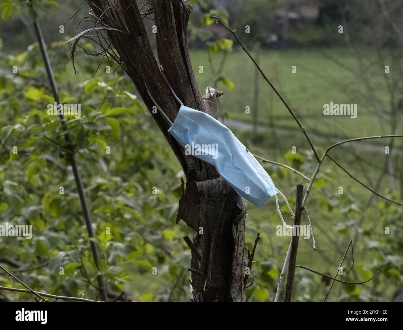 abandoned covid mask on trail path outdoor Stock Photo - Alamy