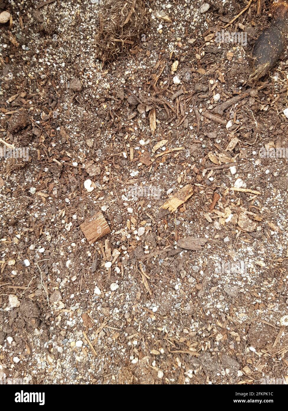 Vertical shot of soil texture Stock Photo - Alamy