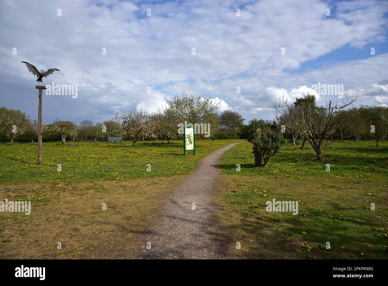 Millennium Green, Nether Poppleton, Near York North Yorkshire Stock ...