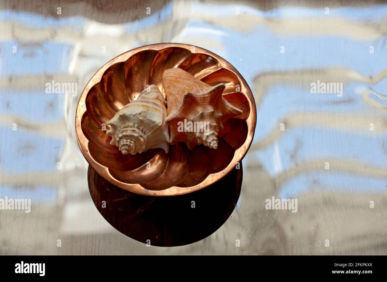 Two seashells on a copper dish with vivid background Stock Photo - Alamy
