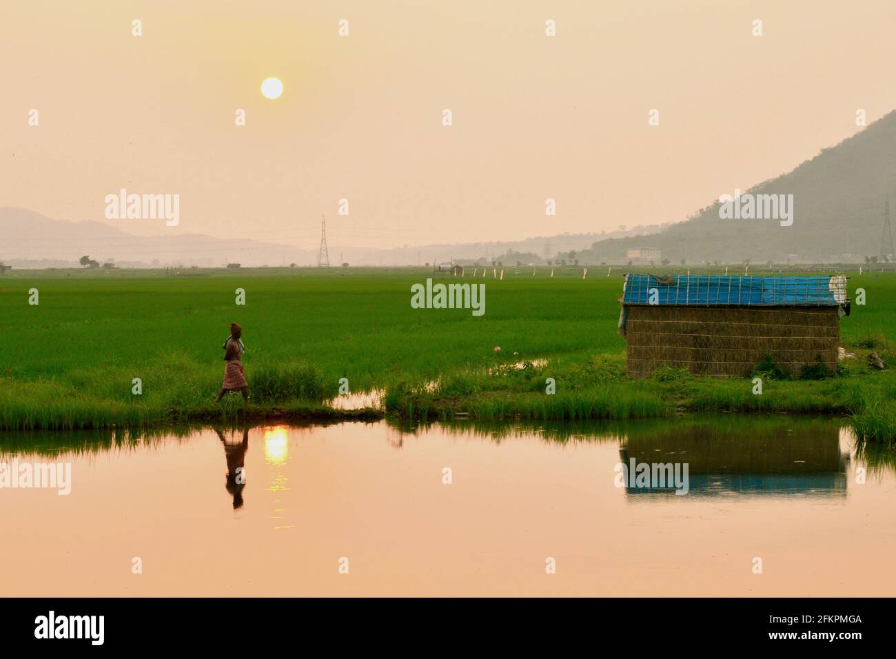 View of a typical assamese village just before the sunset Stock Photo ...
