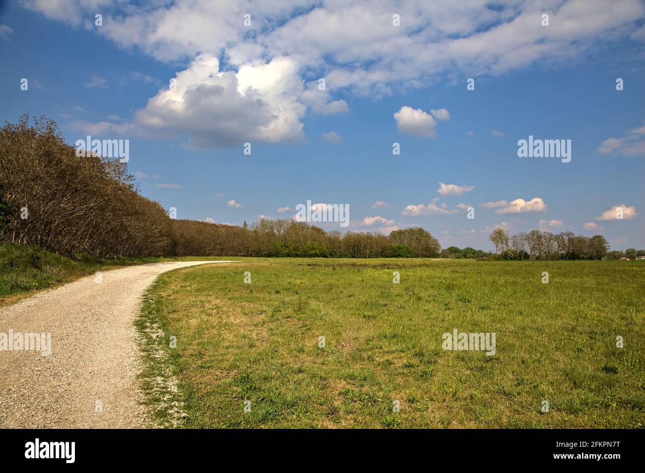 Bend in a road in the italian countryside Stock Photo - Alamy