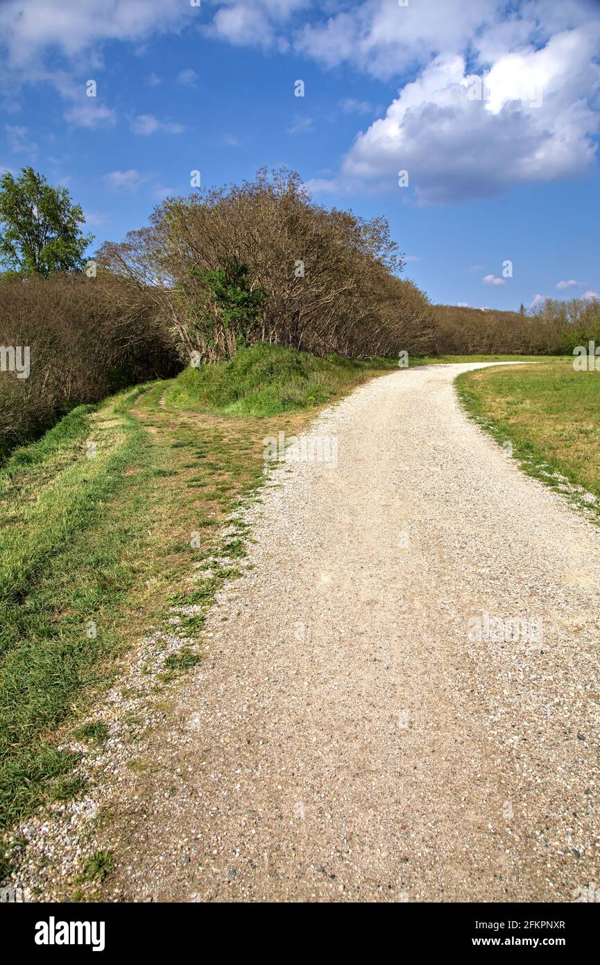 Fork between a road and a path in a grove in the italian countryside ...