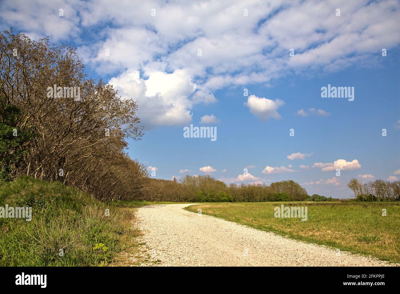 Bend in a road in the italian countryside Stock Photo - Alamy
