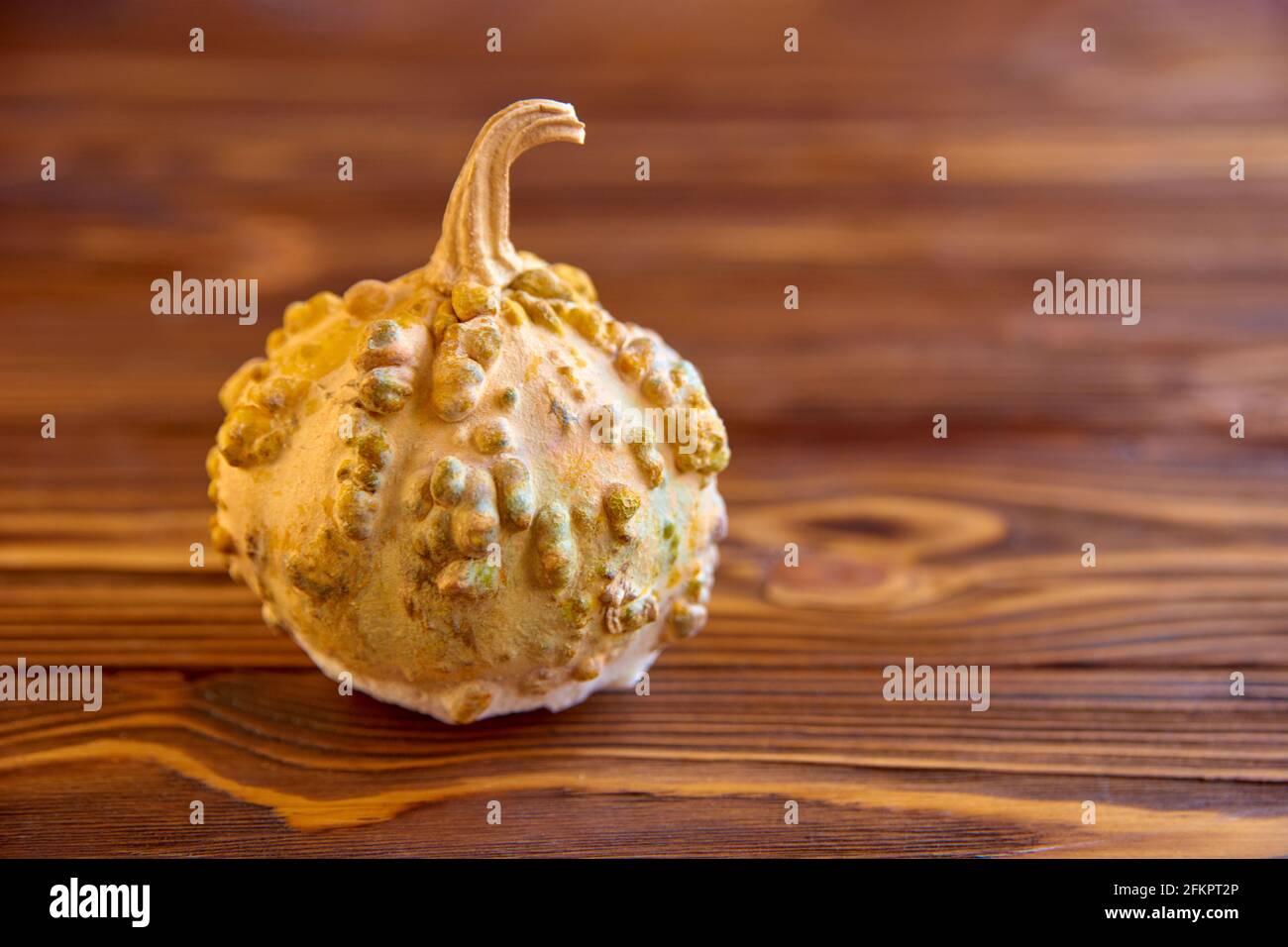 Rotten pumpkin with warts on brown wooden background Stock Photo - Alamy