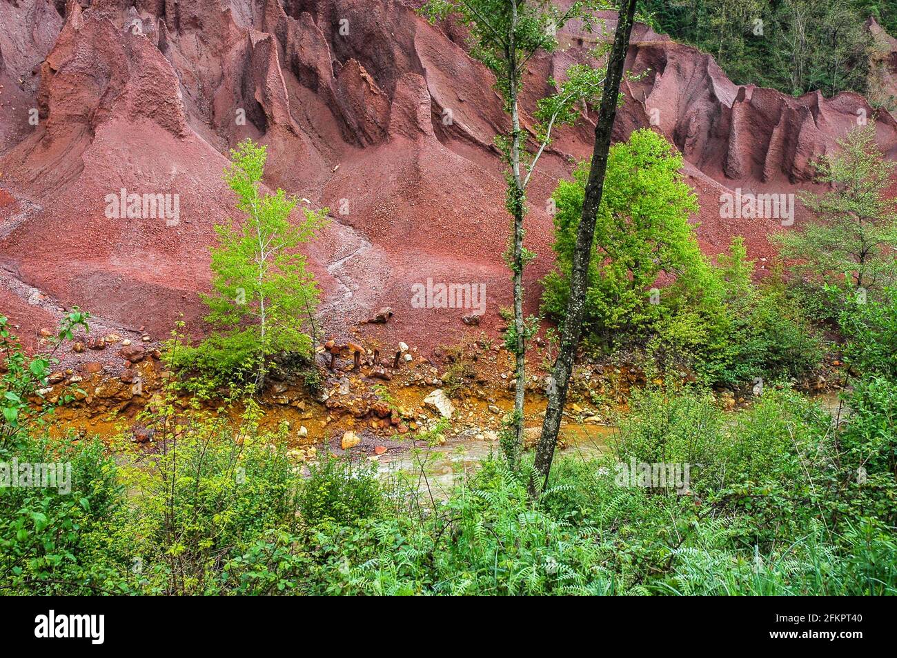 Typical erosion phenomena along the Merse river Stock Photo - Alamy