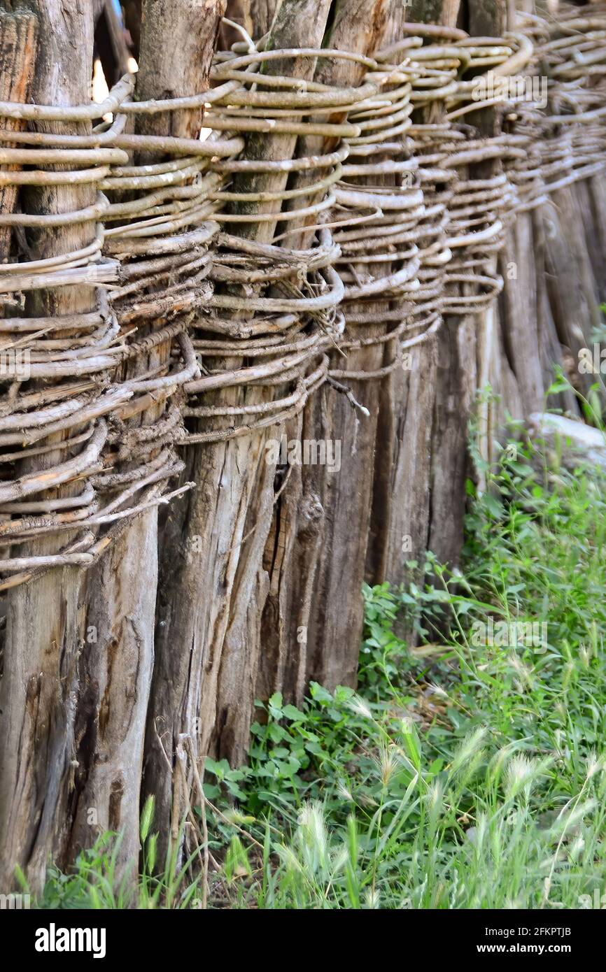 Vertical shot of a wicker fence with wooden poles connected by twigs ...