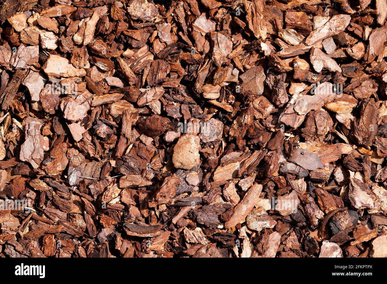 Bark Ground