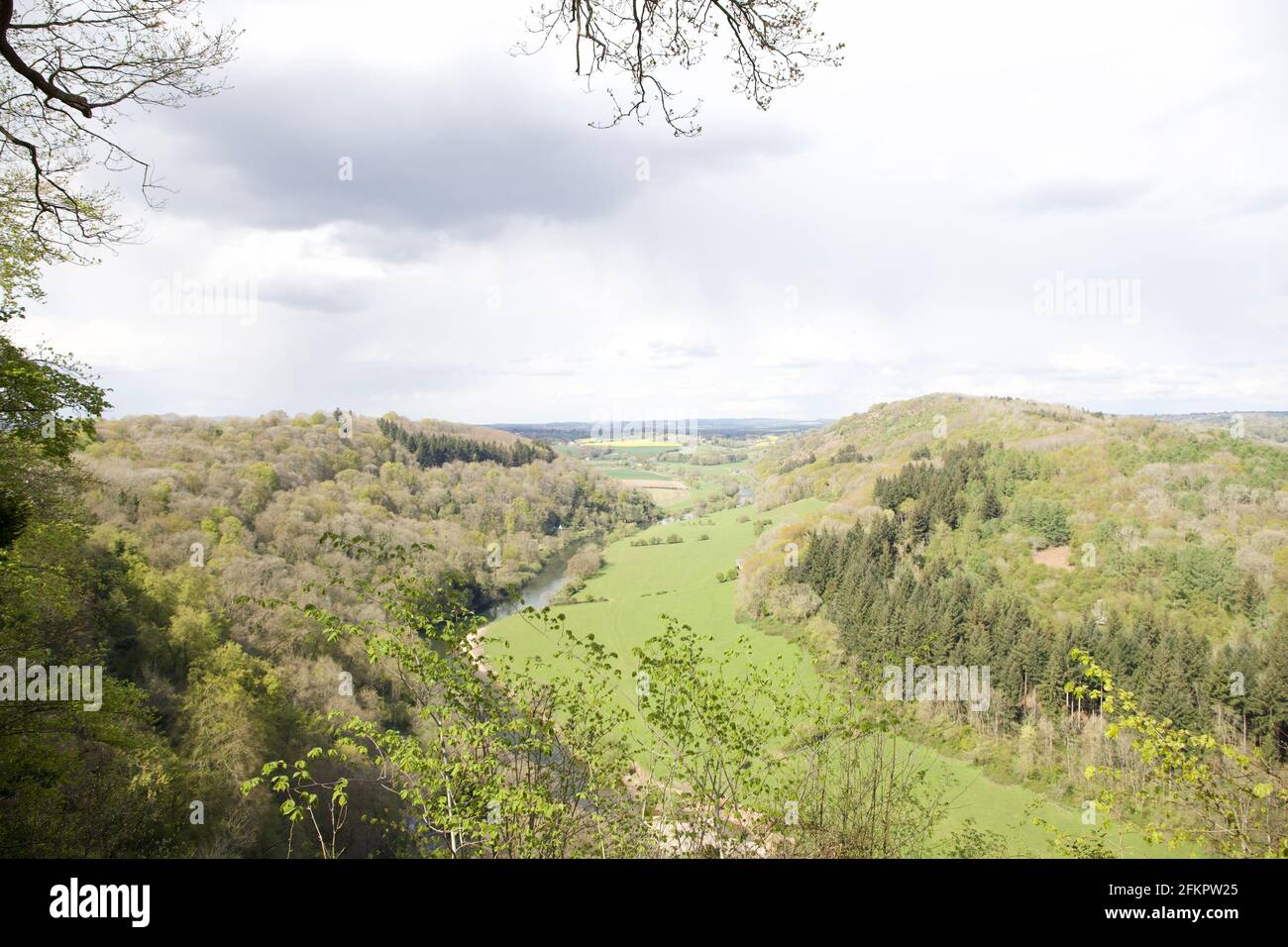 Forest of Dean Landscape from the Viewpoint Stock Photo - Alamy