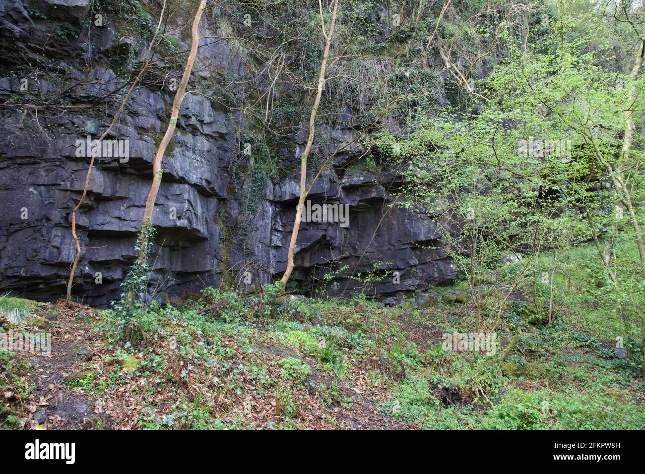 Slate cliff hi-res stock photography and images - Alamy