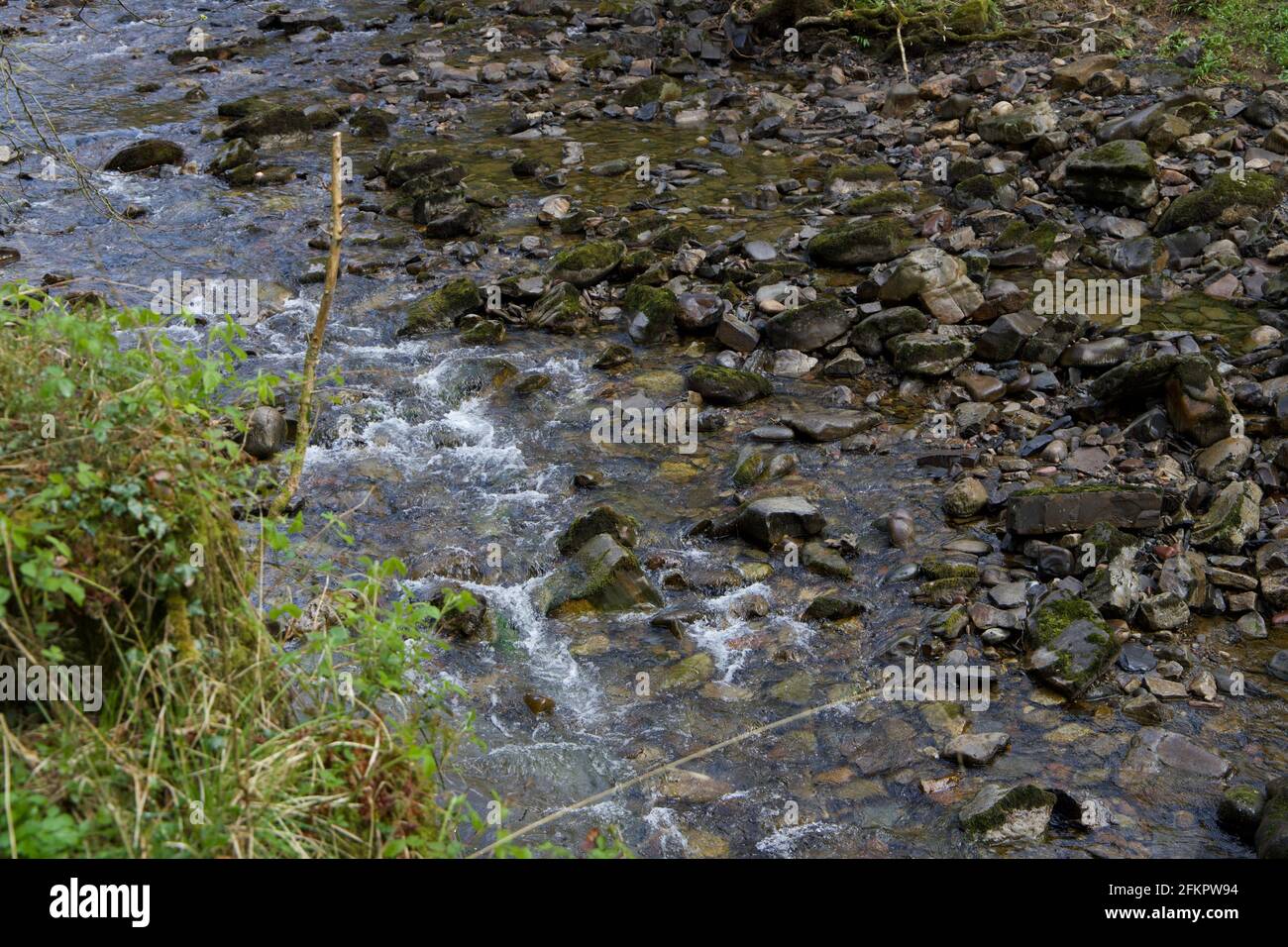 Shallow flowing water hi-res stock photography and images - Alamy