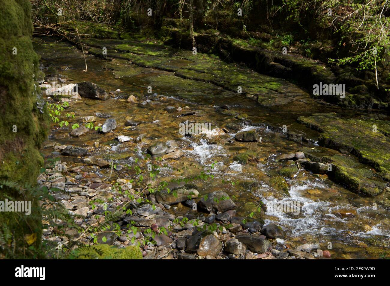 Shallow clear river in the Welsh countryside Stock Photo - Alamy