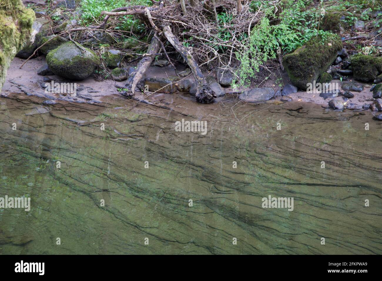 Shallow clear river with a slate bed Stock Photo - Alamy