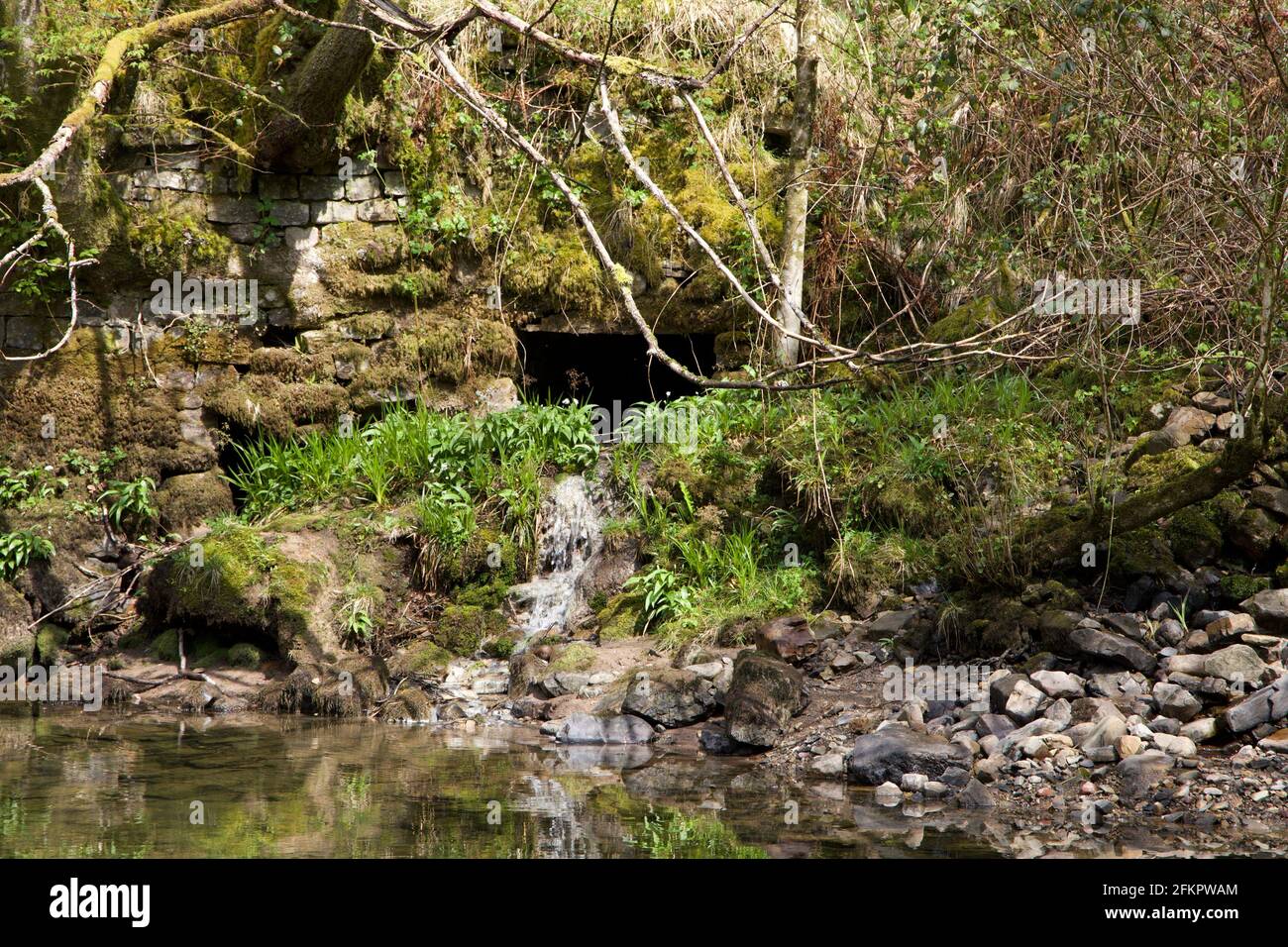 Mossy cave waterfall hi-res stock photography and images - Alamy