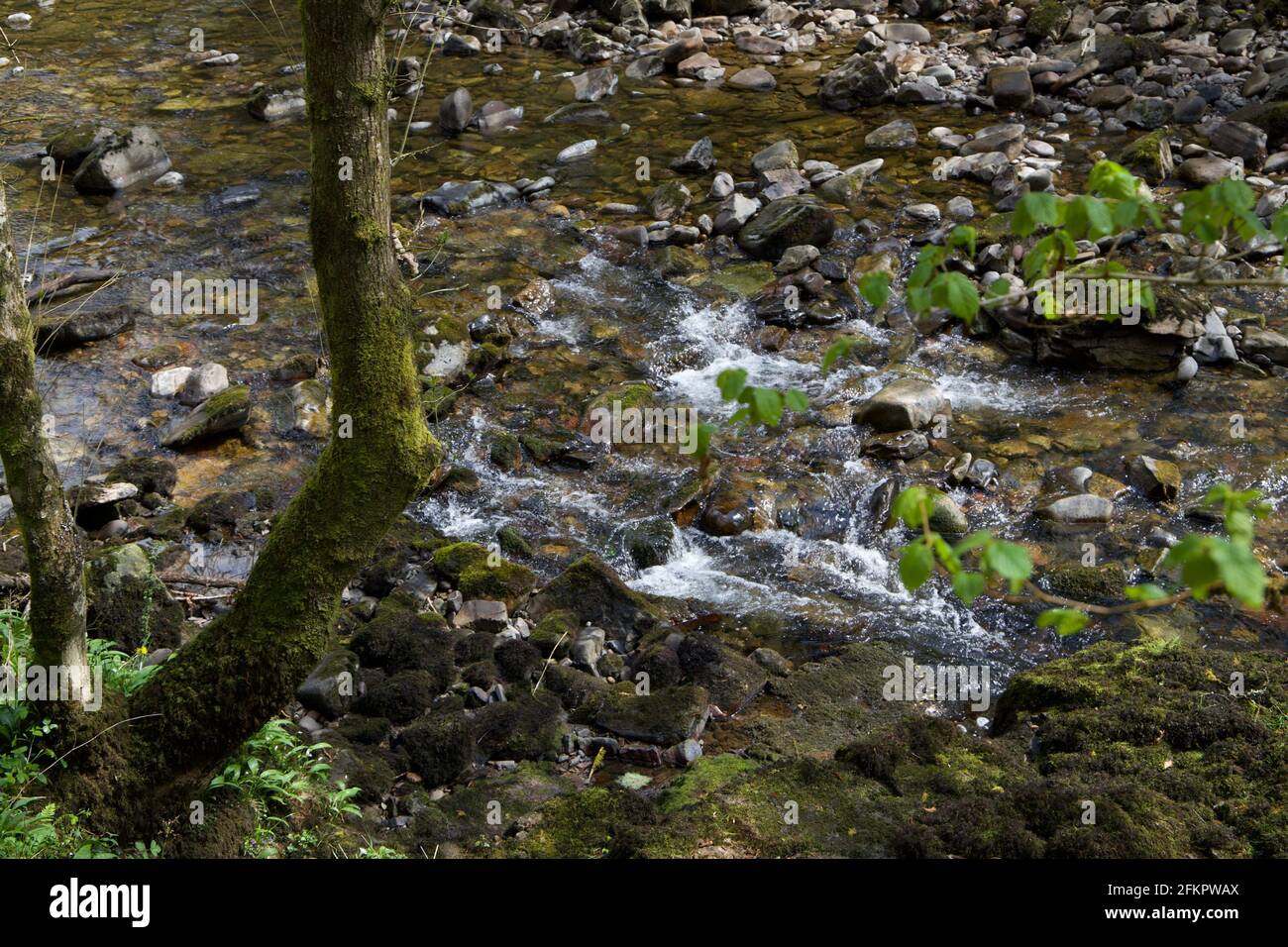 Green river water hi-res stock photography and images - Alamy