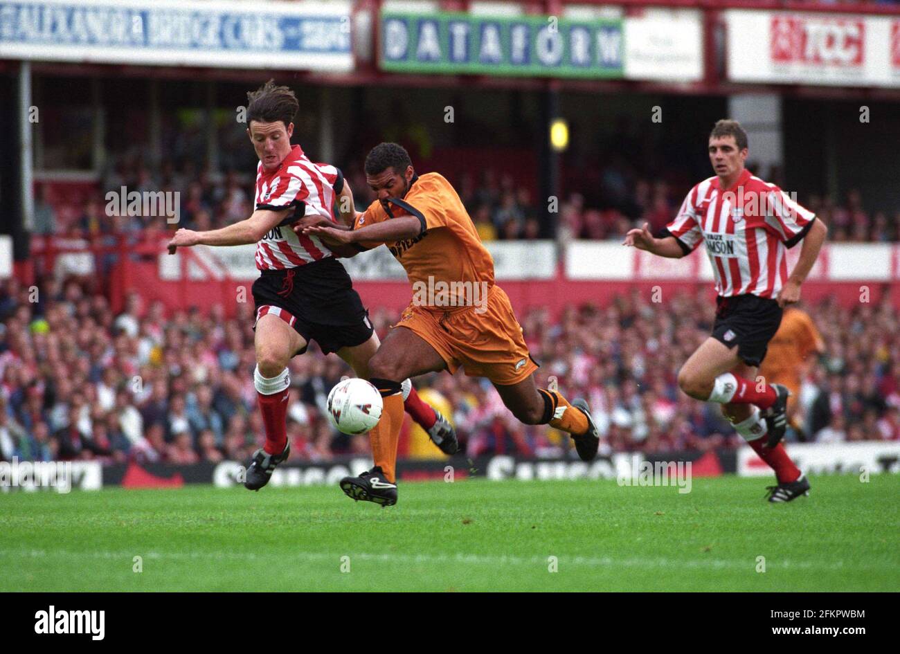 Don goodman wolves hi-res stock photography and images - Alamy