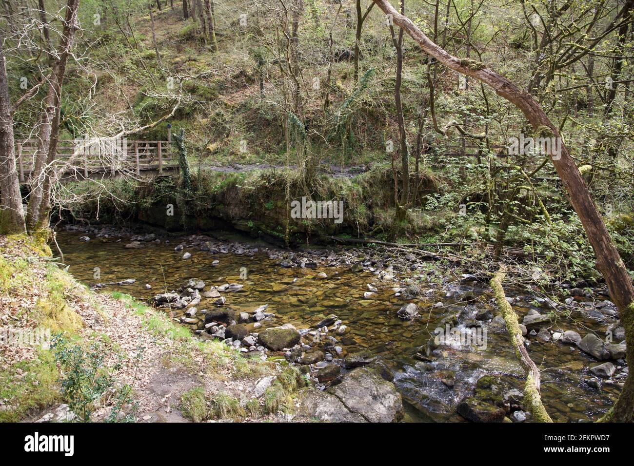 Bridge over a small river in Wales Stock Photo - Alamy