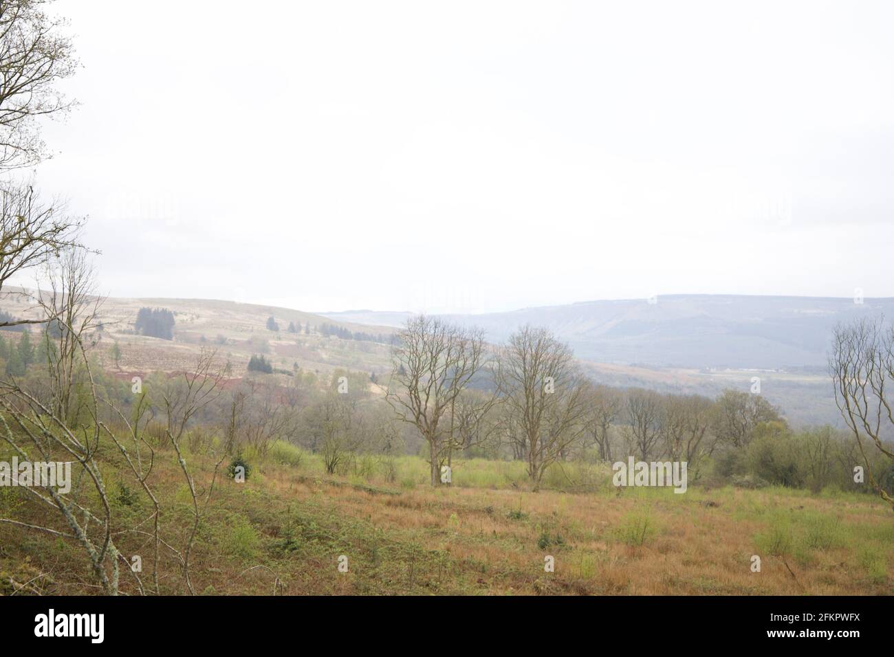 Misty pathway hi-res stock photography and images - Alamy