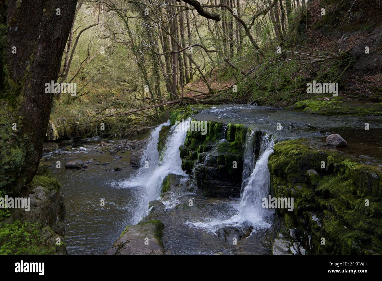 Two-Tiered Waterfall on the Four Falls Trail in Wales Stock Photo - Alamy