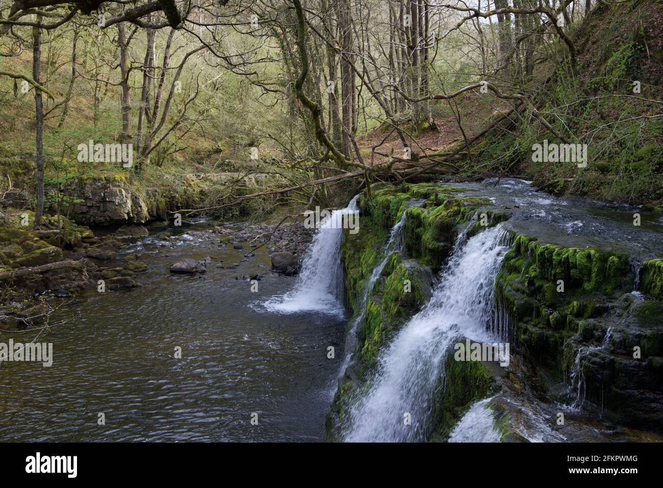 Two-Tiered Waterfall on the Four Falls Trail in Wales Stock Photo - Alamy