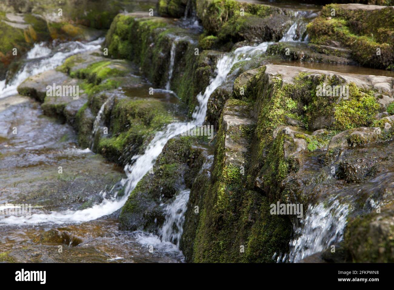 Waterfall on the Four Falls Trail Stock Photo - Alamy