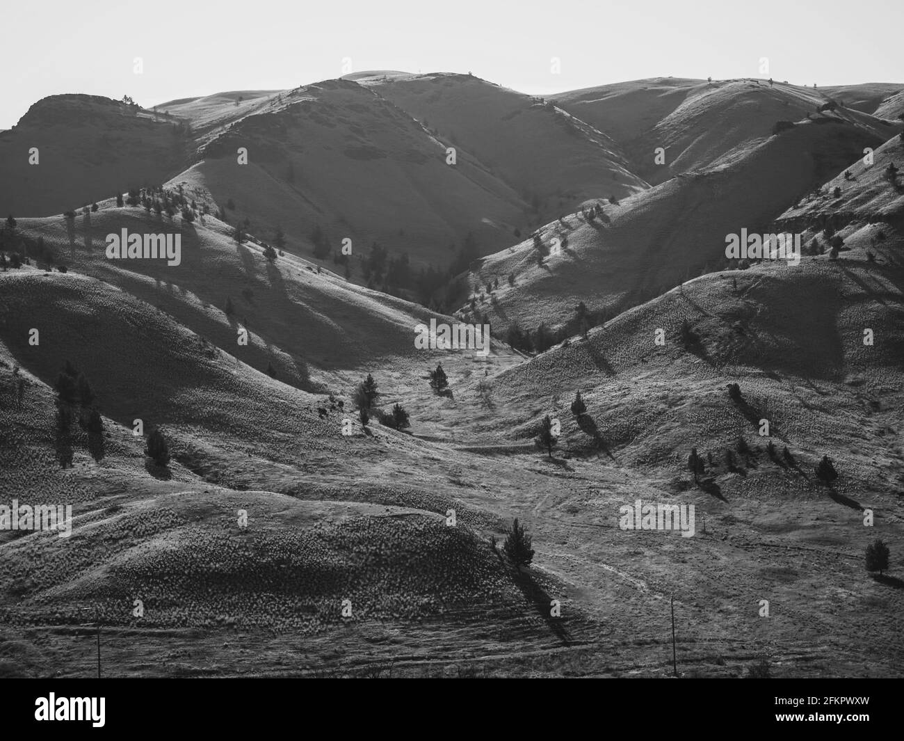 Grayscale of hills landscape Stock Photo - Alamy
