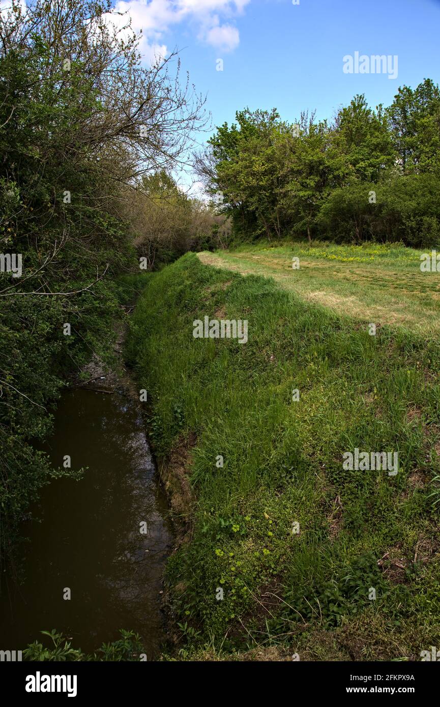 Path in a grove bordered by a stream of water in the italian ...