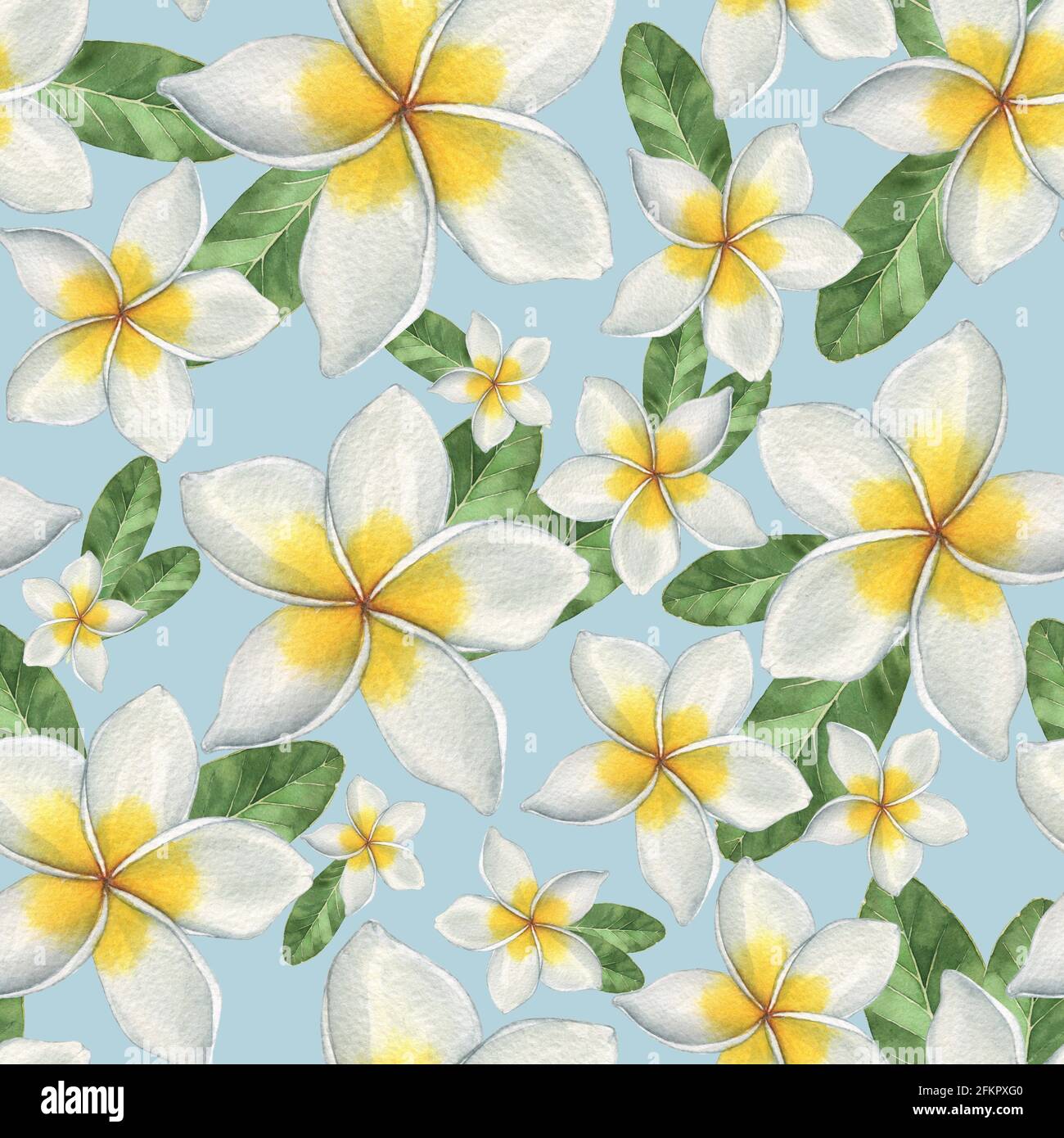 Hawaiian flowers. Seamless floral pattern. Watercolor illustration ...