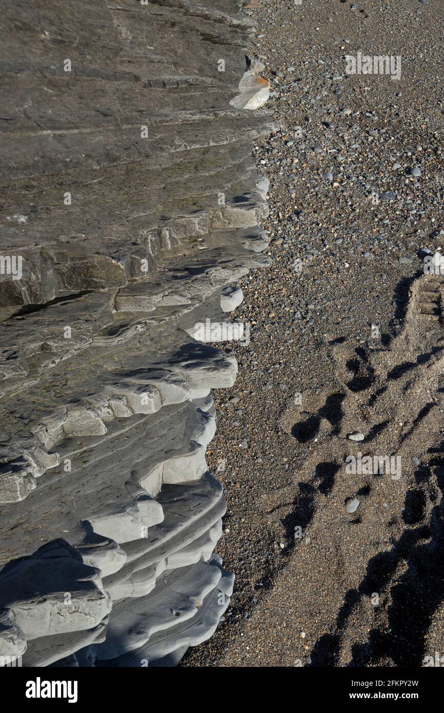 Beach with pebbles,rocks and stacked limestone strata in Ceredigion ...