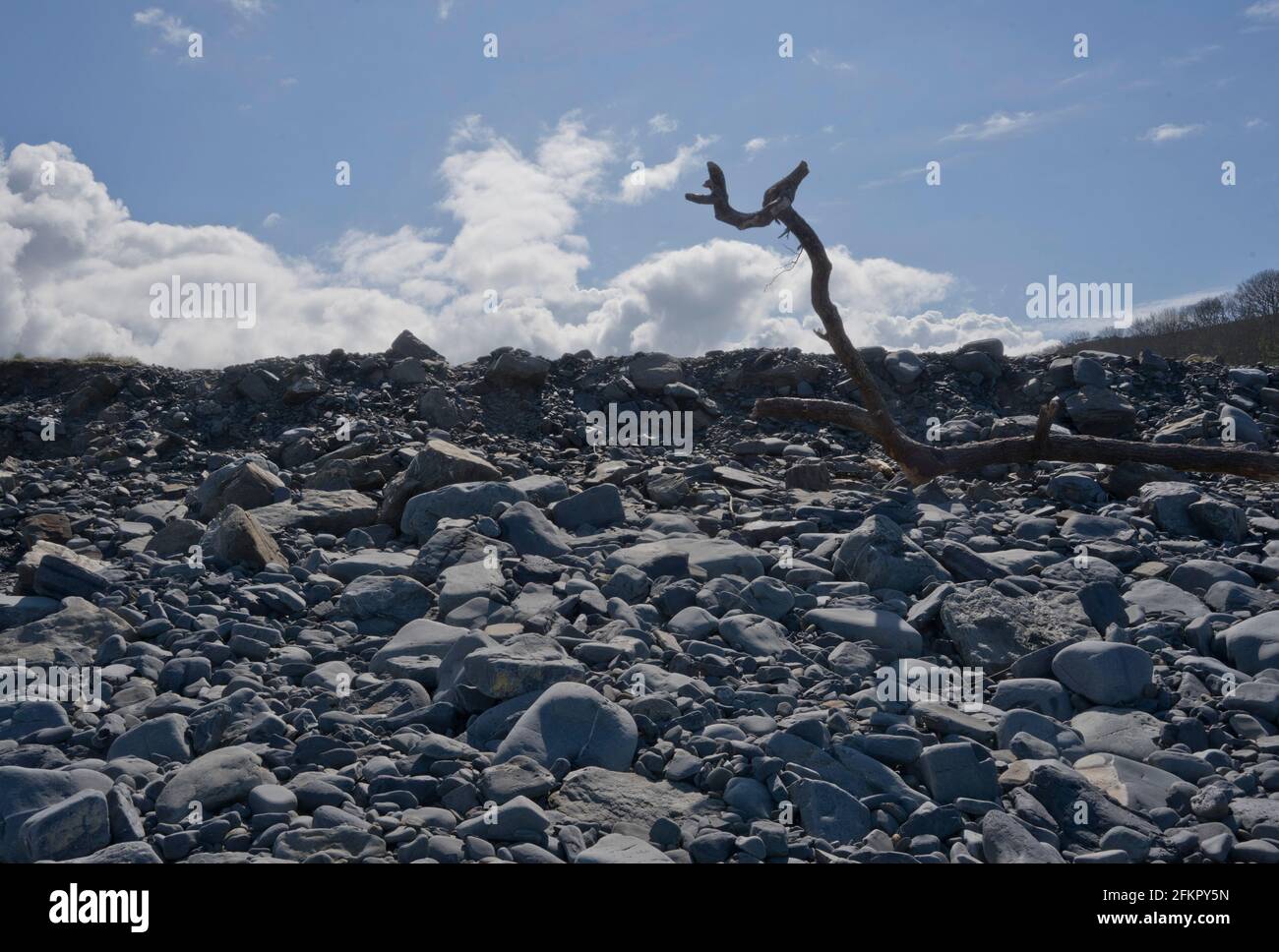 Beach with pebbles,rocks and stacked limestone strata in Ceredigion ...