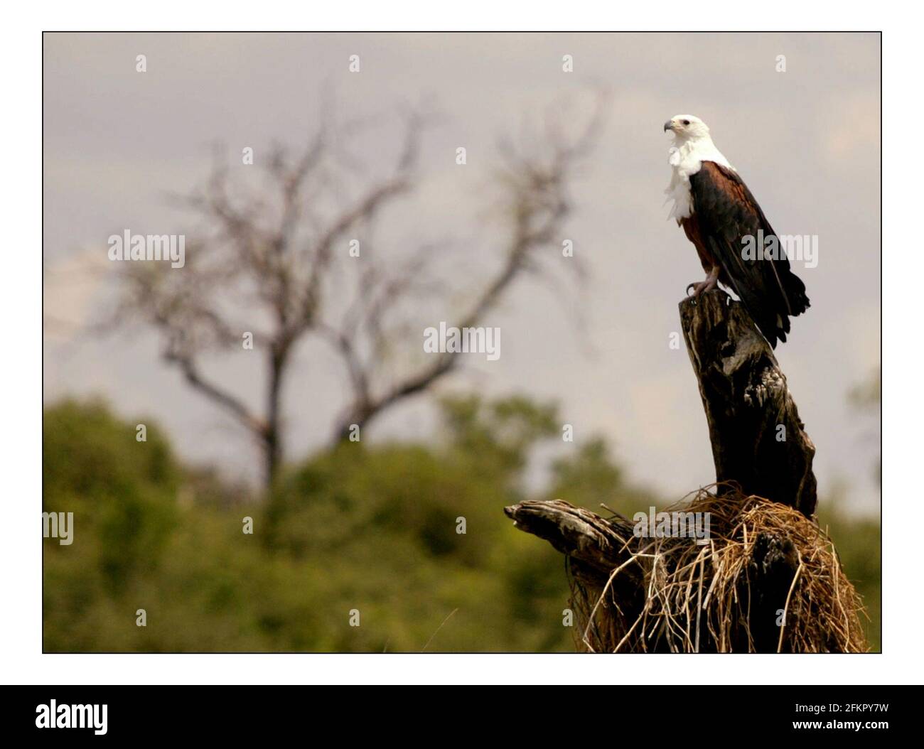 Border between botswana and namibia hi-res stock photography and images ...