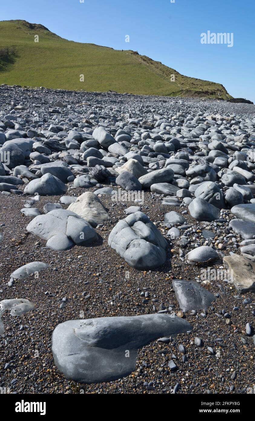Beach with pebbles,rocks and stacked limestone strata in Ceredigion ...