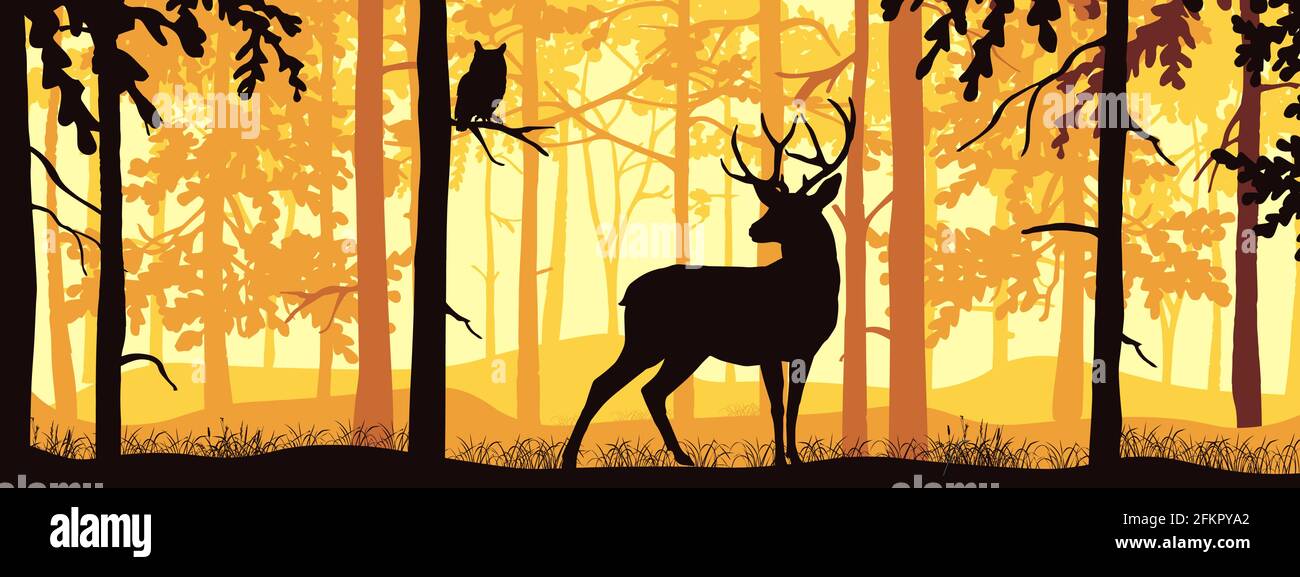 Horizontal banner of deer with antlers posing, forest background ...