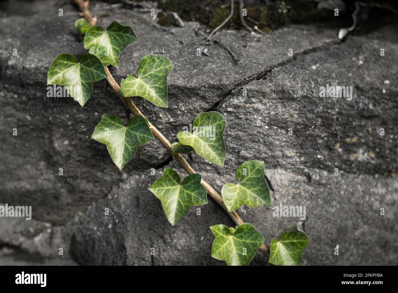 Choke rocks hi-res stock photography and images - Alamy