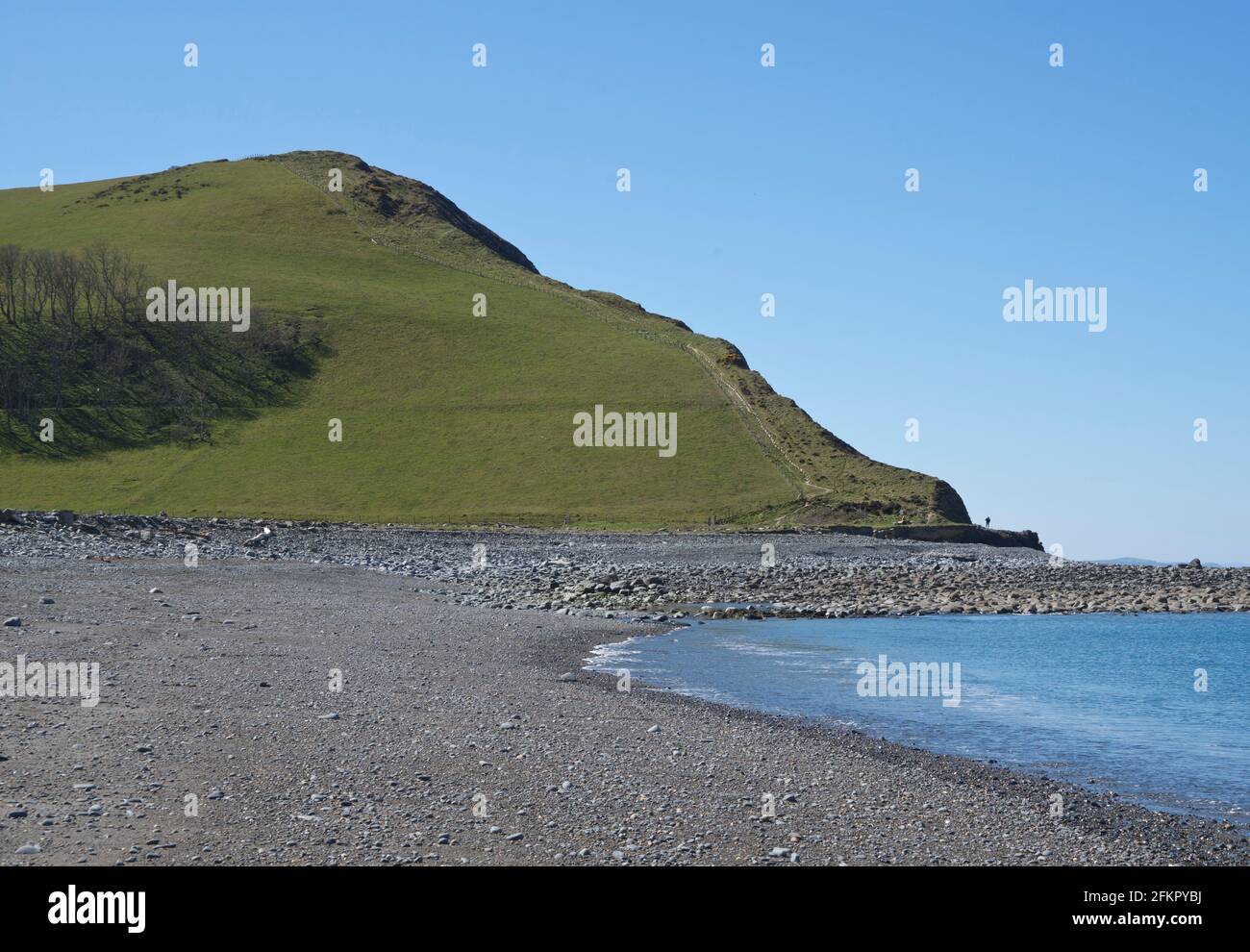 Beach with pebbles,rocks and stacked limestone strata in Ceredigion ...