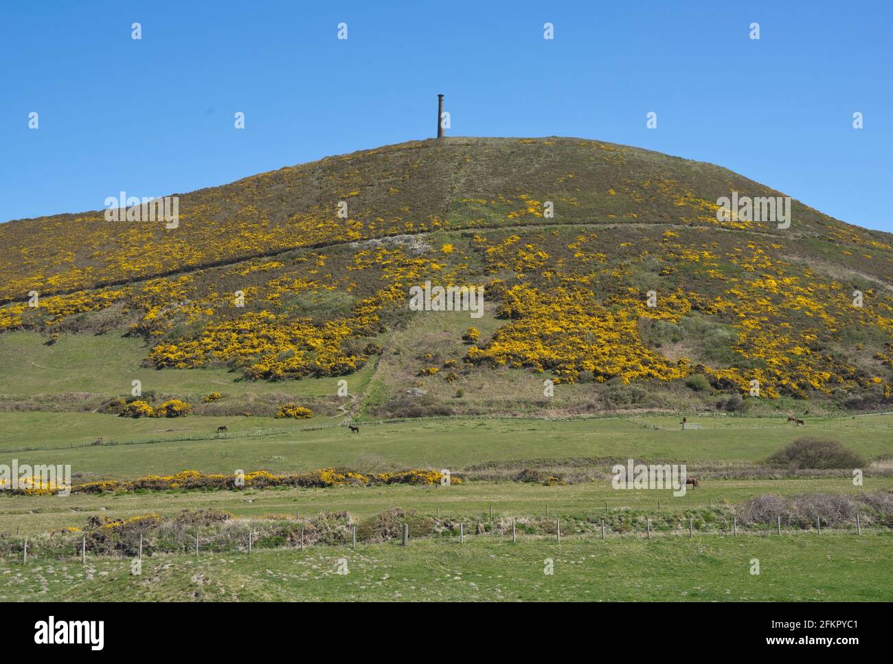 Beach with pebbles,rocks and stacked limestone strata in Ceredigion ...