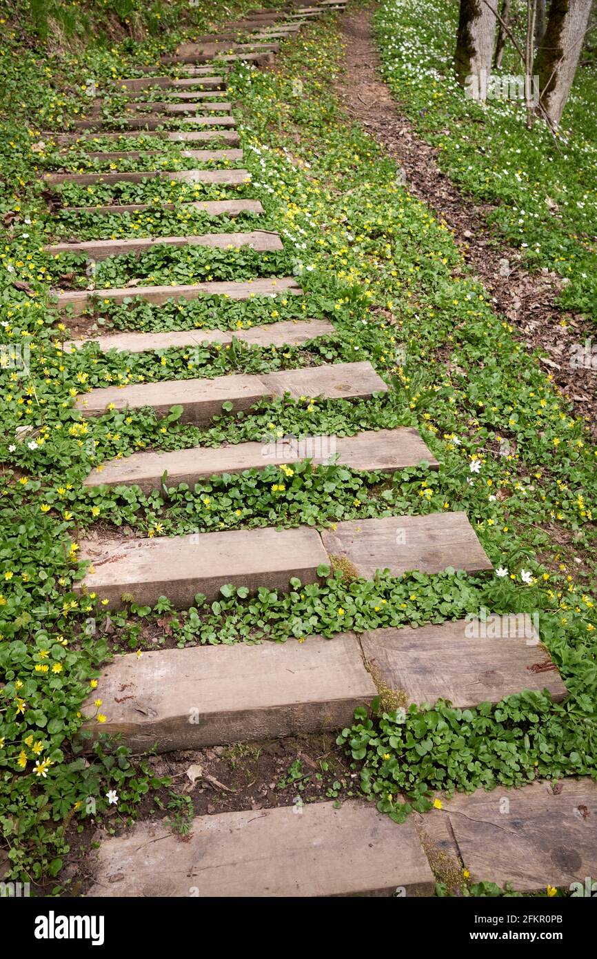 Hiking trails in gauja national park hi-res stock photography and ...