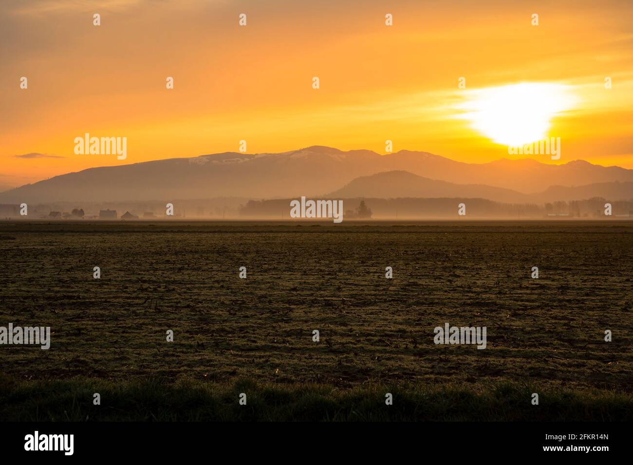 Untilled field hi-res stock photography and images - Alamy