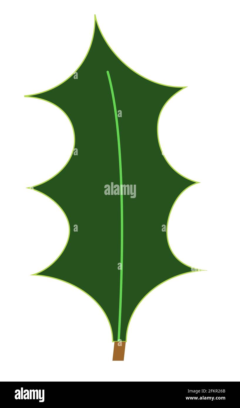 A graphical illustration of a sprig of holly for users as web ...