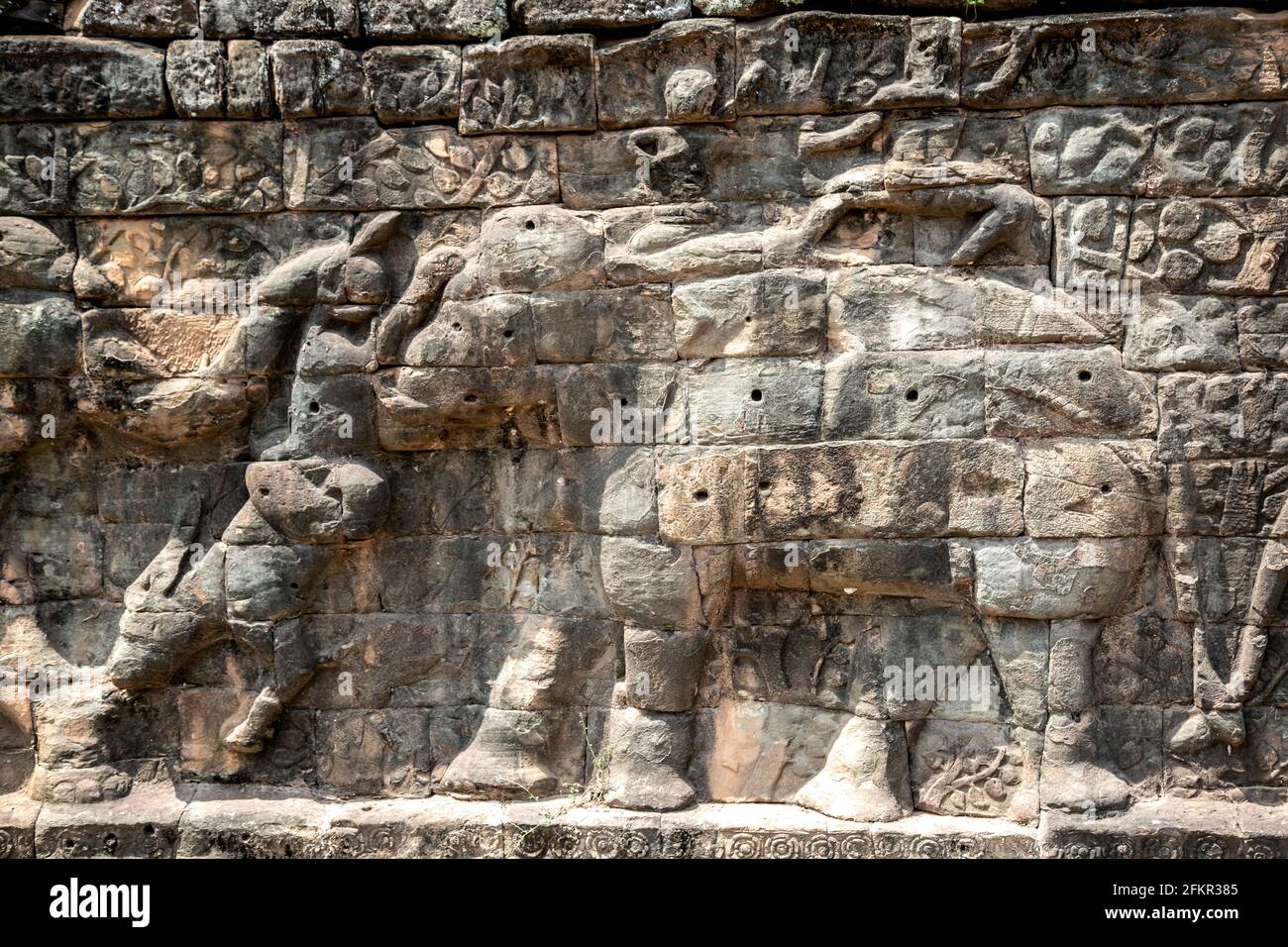 Bas-relief of elephants, Elephant Terrace, Angkor Thom, Angkor ...
