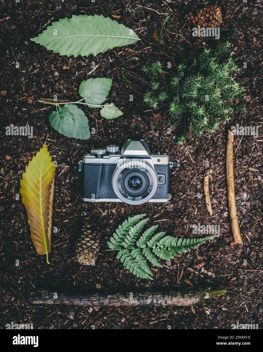 Overhead shot of a camera and elements of nature on the ground - nature ...