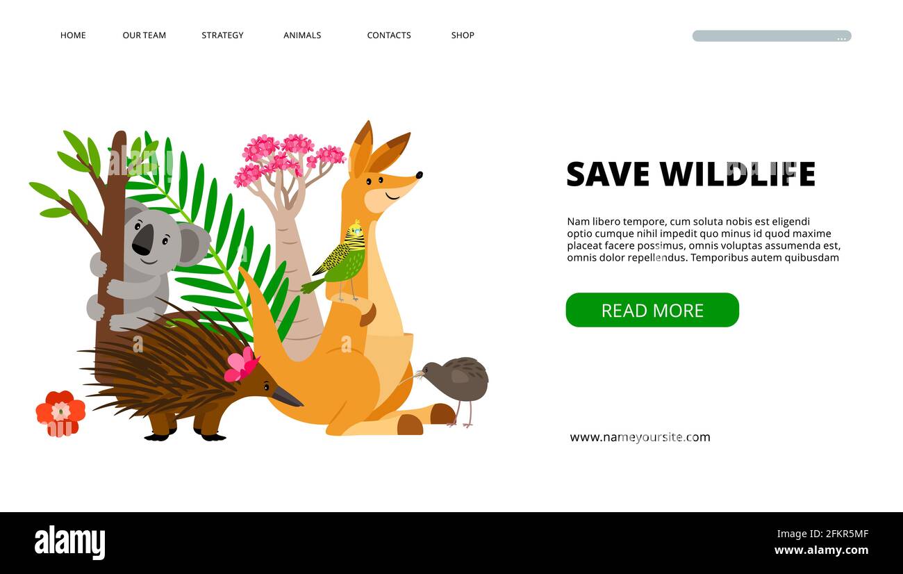 Wild animals banner. Save wildlife and nature illustration. Koala ...