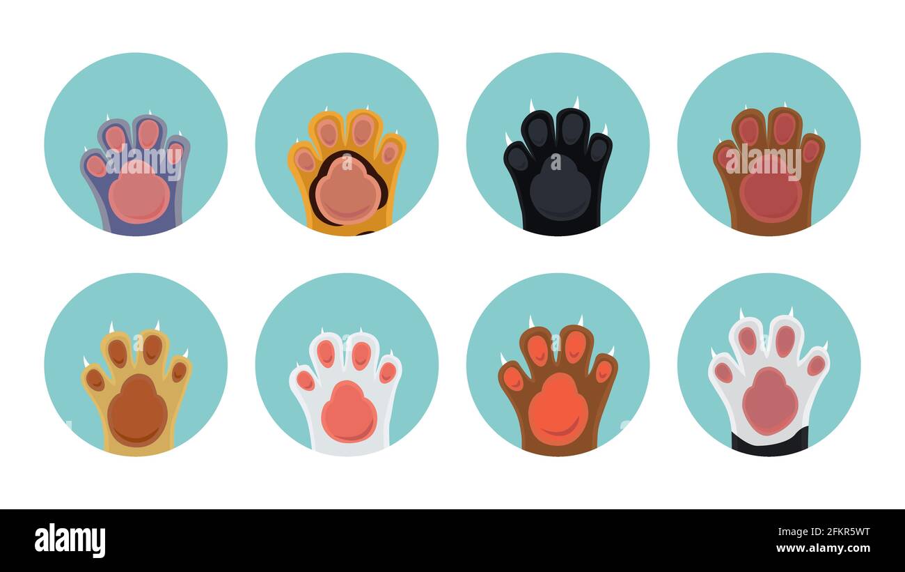 Cat paw icons. Cartoon kitten feet in circles, pets vector icons Stock ...