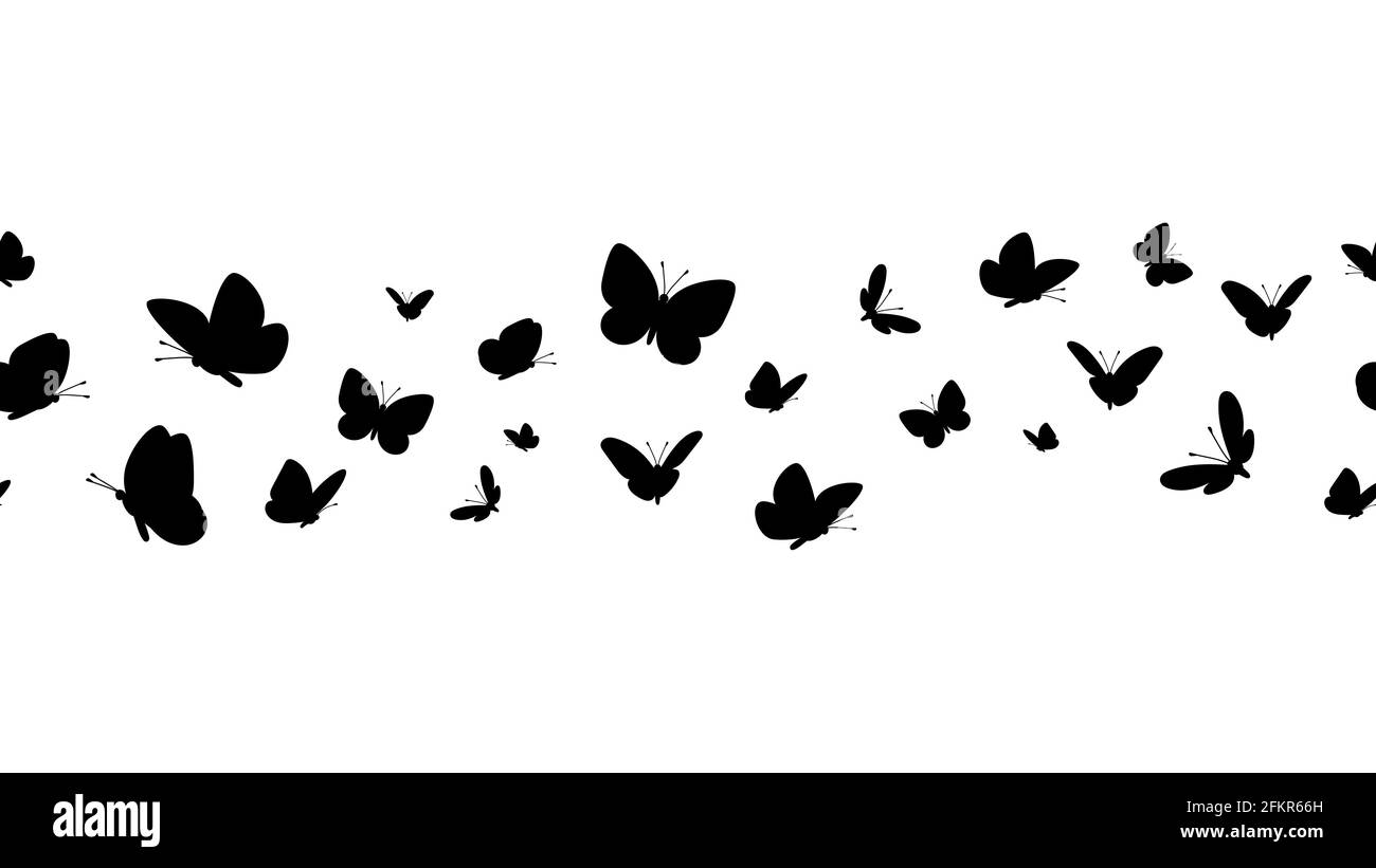 Black Butterfly Border