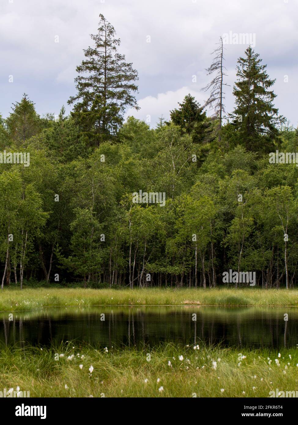 Small lake in scania hi-res stock photography and images - Alamy