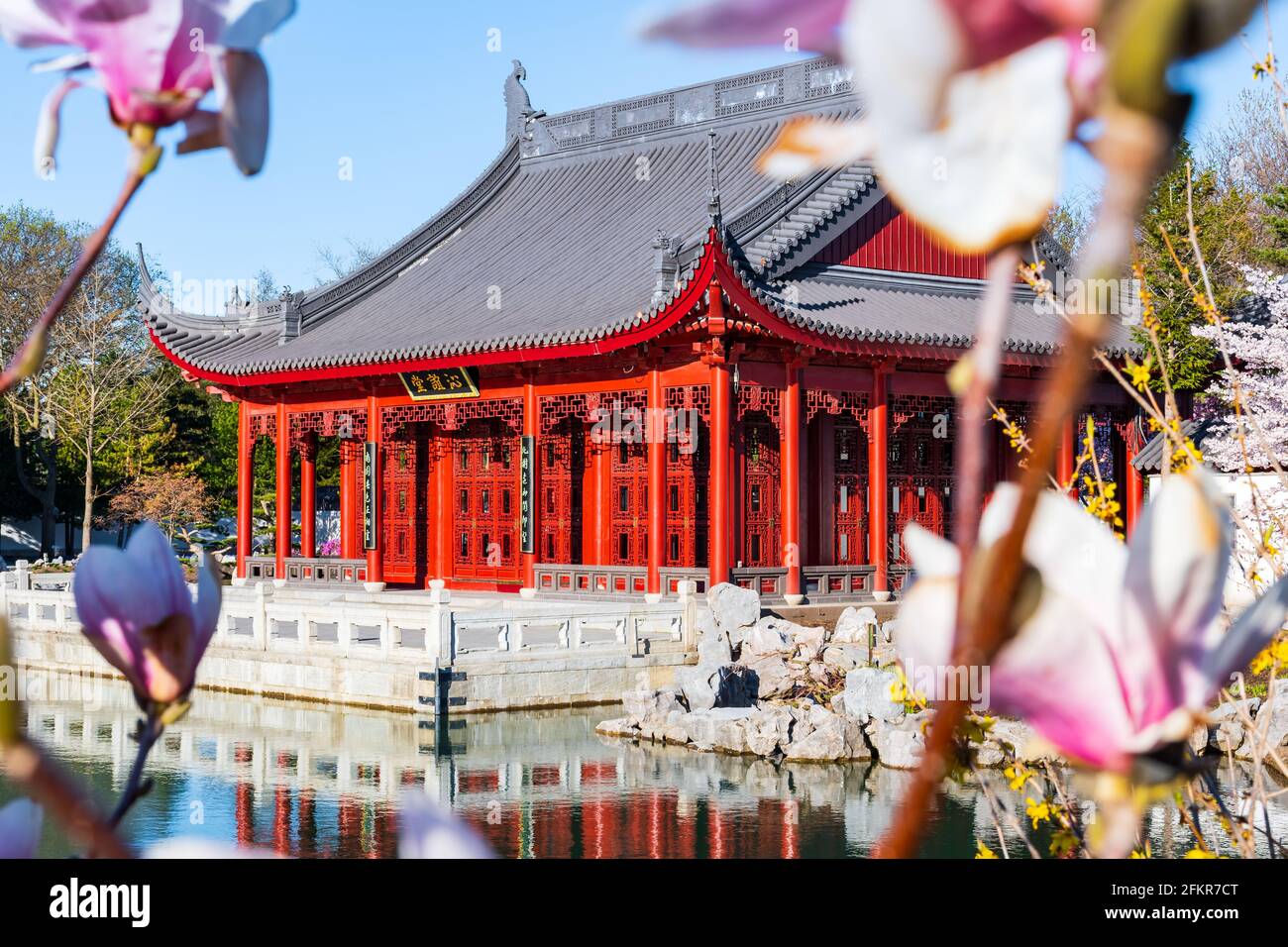 Beautiful Chinese Garden Flowers This City In China Has The Most