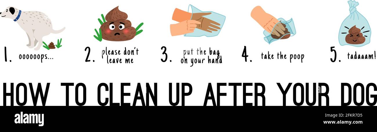 Dog poo clean up. Dogs poop pick up on bag steps infographics, pet ...