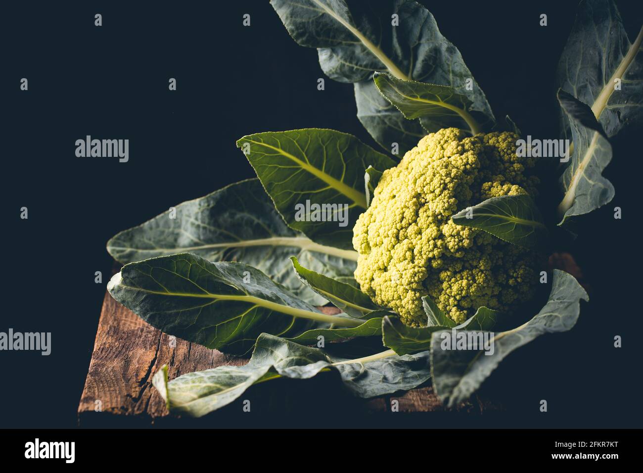 Head of green color cauliflower on dark background and side lighting ...