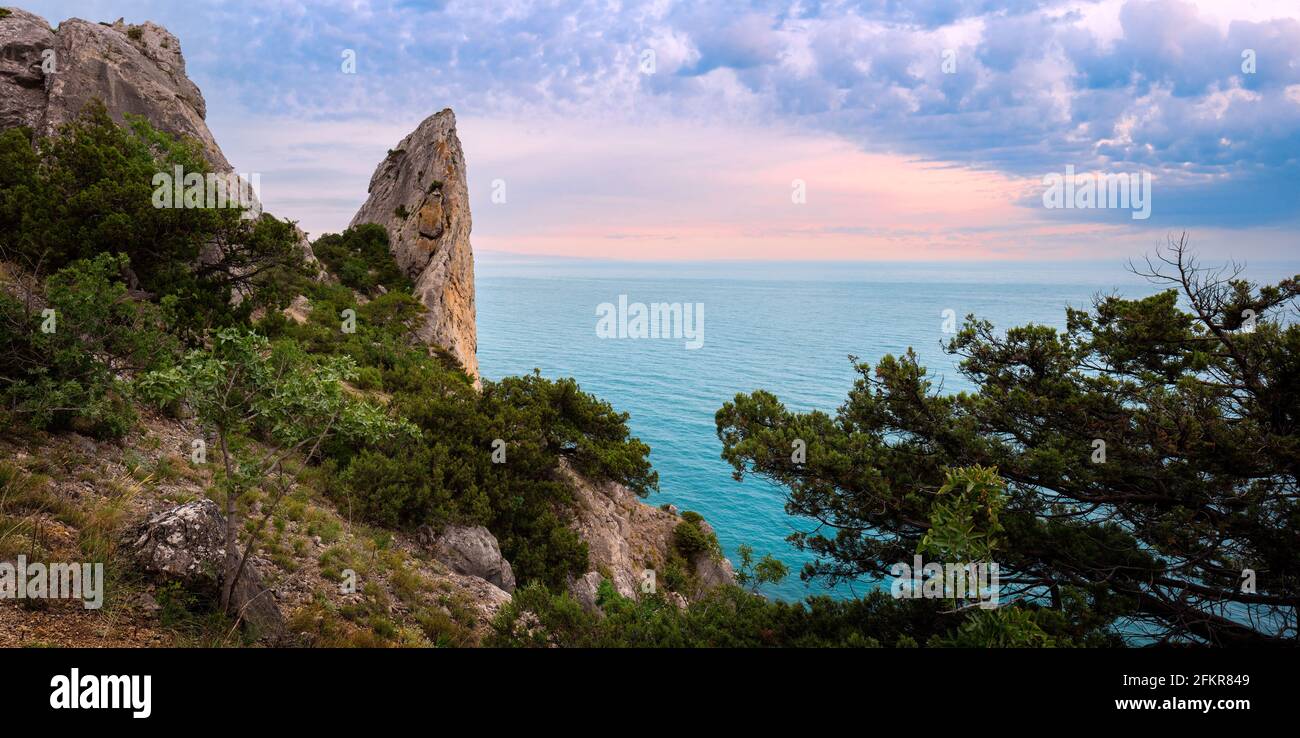 Amazing tree growing out of the rock at sunset. Colorful landscape with ...