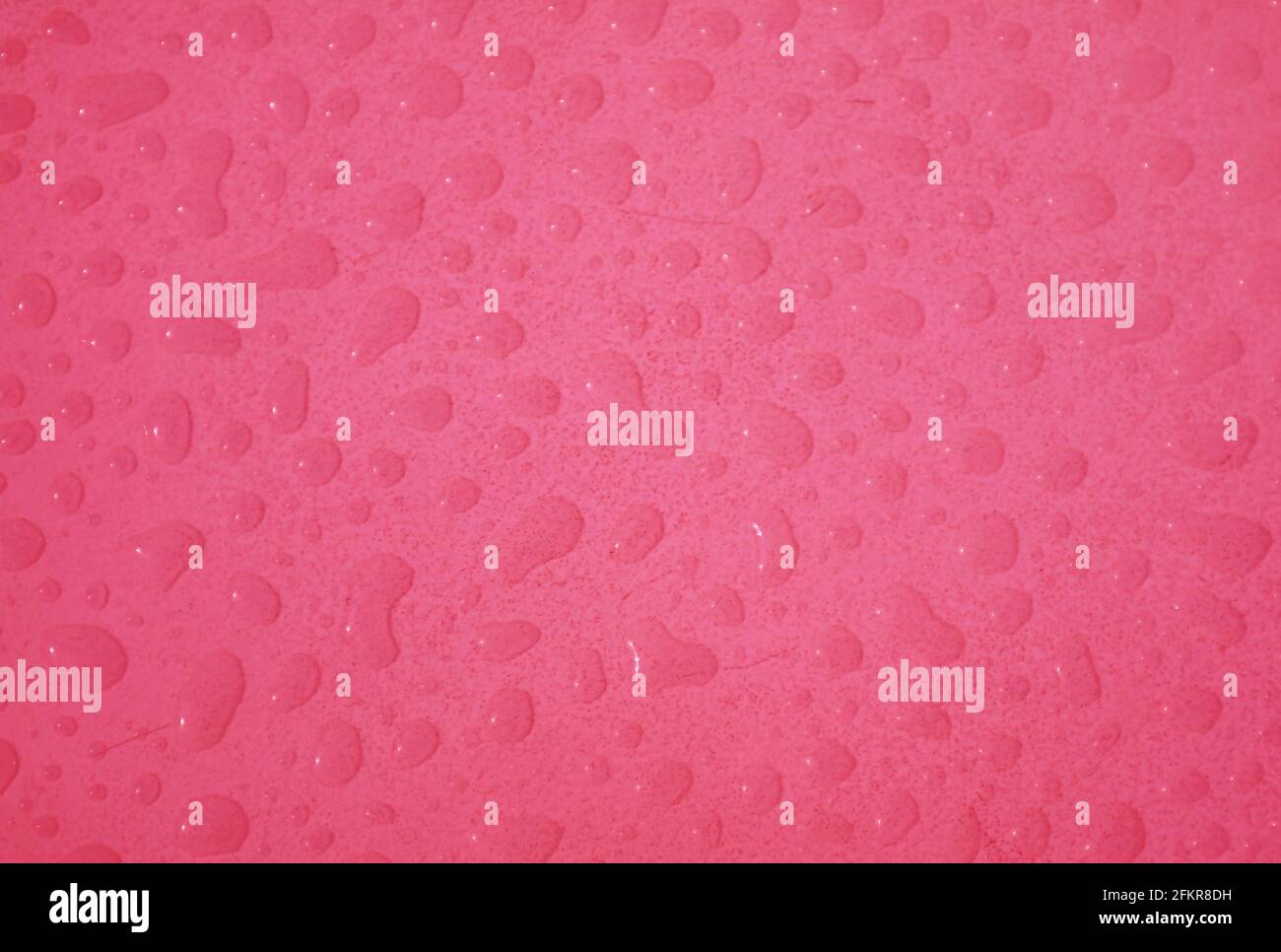 Pop art surreal style raspberry pink colored water droplets on the ...